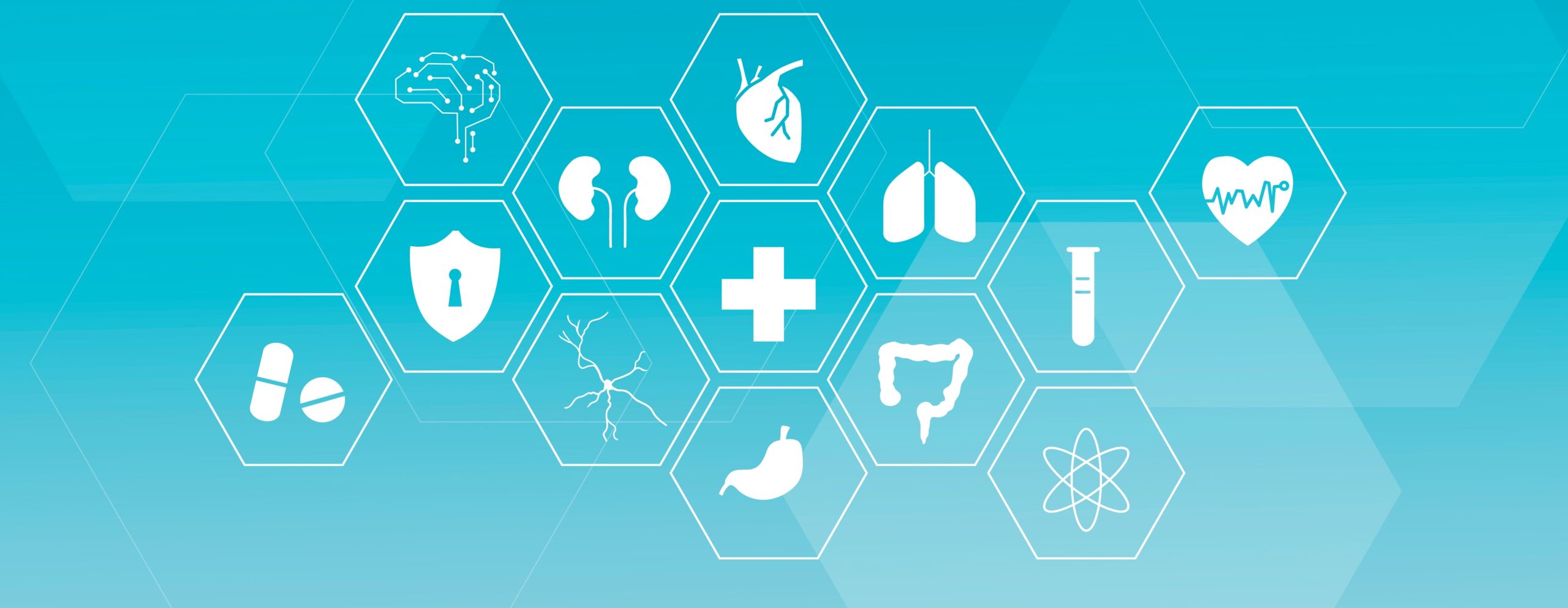 defining-safety-standards-for-hospitals-in-bangladesh-asian